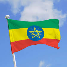 Recette n°3184: (Ethiopie) « Sik Sik Wat ou Mijoté de boeuf épicé ...